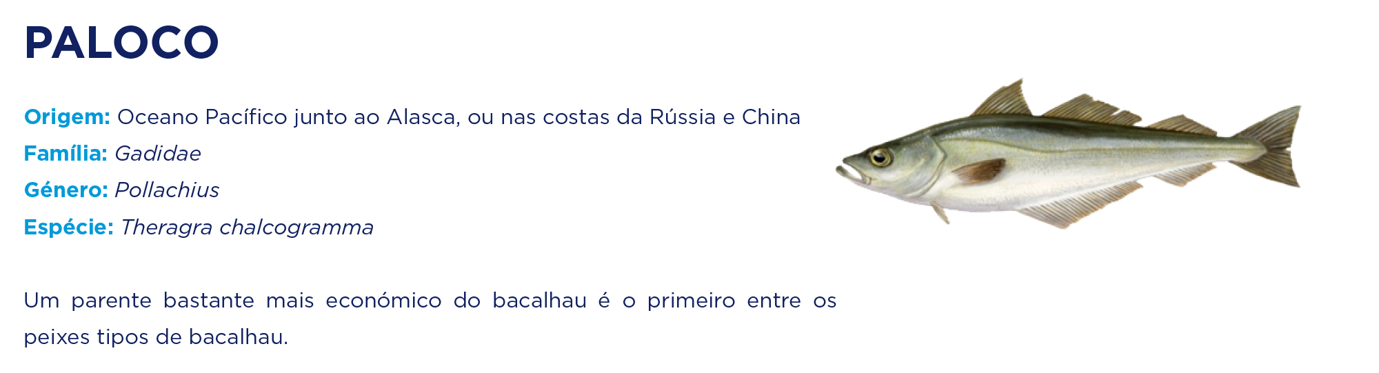 Características das espécies - Riberalves